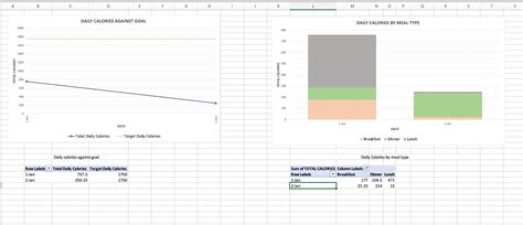 Calorie Tracker Excel And Google Sheets Templates File Downloads Tables And Charts For Daily
