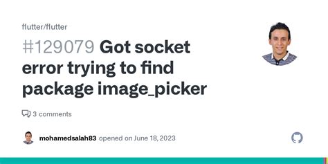 Got Socket Error Trying To Find Package Image Picker Issue Flutter Flutter GitHub
