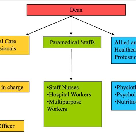 Workforce Hierarchy Download Scientific Diagram