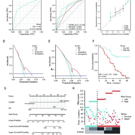 A Risk Score Model And Nomogram Development And Evaluation For Download Scientific Diagram