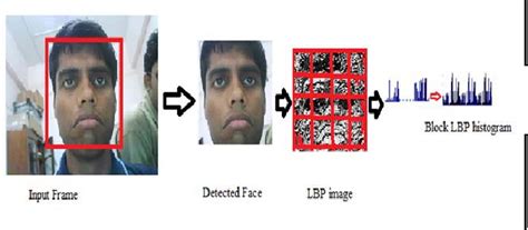 A Real Time Facial Expression Classification System Using Local Binary