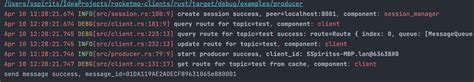 Enhance Rust Producer And Add Example · Issue 470 · Apacherocketmq Clients · Github