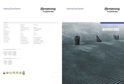 Normcore 極簡 阿姆斯壯地毯 利地捷