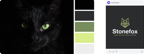 20 Fall Color Palettes For A Warm Fall Aesthetic Looka