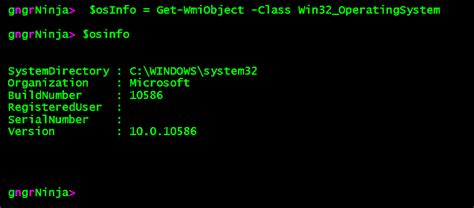Powershell Getting Started A Deeper Dive Into Functions — The Ginger