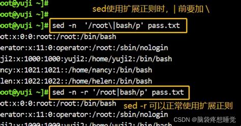 文本三剑客之sed编辑器 sed 打印行号 csdn博客