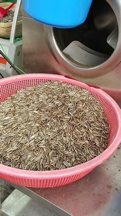 한번시작하면 계속 딱딱거리며 까먹게돼요~ㅎㅎ대림중앙시장 해바라기볶는기계에서 막 볶아져나오는 중국해바라기씨 꽈즈 ~중국최애간식 은근 먹는재미 짱 고혈압항암에좋음 볶은