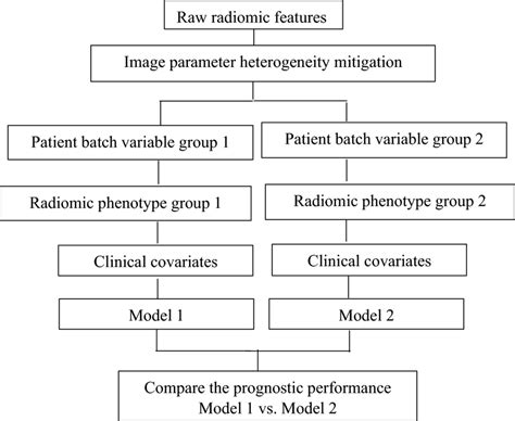 Steps Involved In Comparing The Prognostic Scores Of The Models Derived Download Scientific