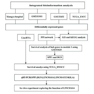 Flowchart Showing The Processing And Analysis Of Data In This Study Download Scientific Diagram
