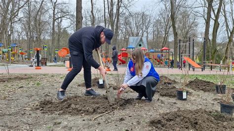 Первым зарубежным участником акции «Сад памяти в 2024 году стала Молдавия ⋆ НИА Экология ⋆