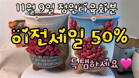 2024년 11월 9일 이전세일 50예쁜화분 착한금액으로 빠른찜하세요정원다육화분 수제공방분 정원다육 다육화분 Youtube