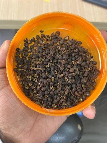 Timut Pepper Without Seed Peppercorns Zanthoxylum Alatum Himalayan Pepper Tomar At Rs