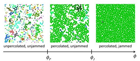 Color Online Typical Snapshots From The Quasistatic Isotropic Download Scientific Diagram