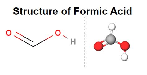 Formic Acid Conjugate Base Structure