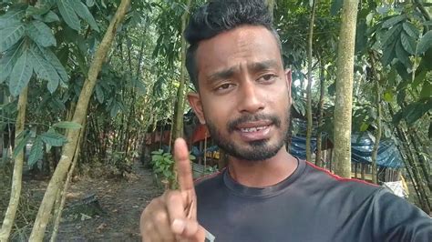 18 October 2024 💥 আজকের মুরগি ও বাচ্চার পাইকারি দাম। আজকে মুরগির বাজার। Today Chicken Price