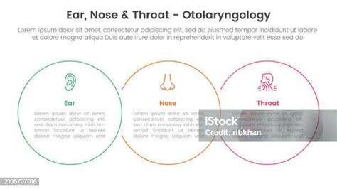 이비인후과 건강 치료 질병 인포 그래픽 슬라이드 프리젠 테이션을위한 큰 원 윤곽선 조합 수평이 있는 3 포인트 단계 템플릿 건강관리와 의술에 대한 스톡 벡터 아트 및 기타
