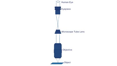 Conjugate Long Working Distance Microscope Objectives Shanghai Optics Shanghai Optics