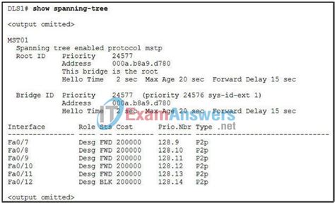 Ccnp Switch Version 60 Chapter 3 Exam Answers