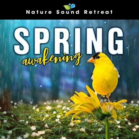 Spring Awakening Nature Sound Retreat
