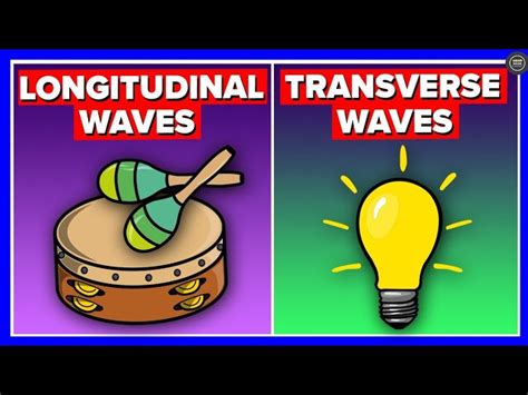Longitudinal Wave Examples In Real Life