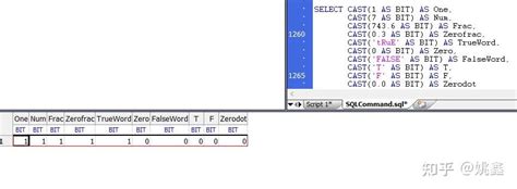 第二十三章 SQL函数 CAST二 知乎