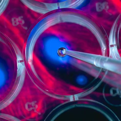 Building The Future Of Education And Research In Arizona Mayo Clinic