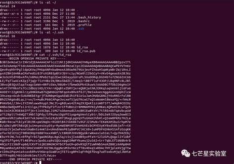 Docker容器信息收集 腾讯云开发者社区 腾讯云