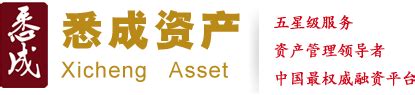 上海悉成资产管理有限公司