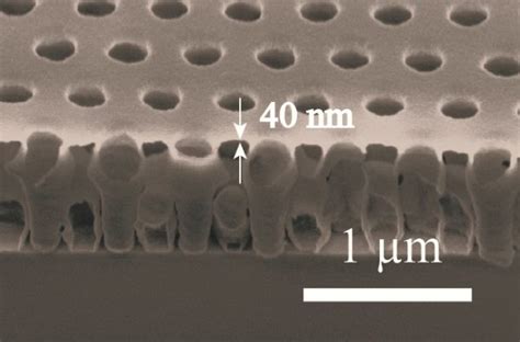 Unique Material Property Discovered In Complex Nanostructures
