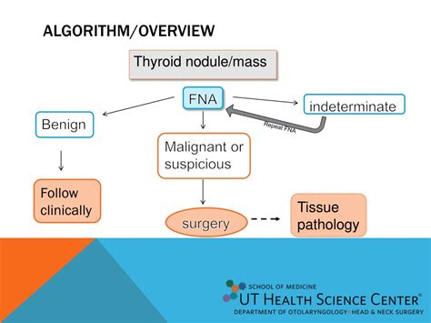 Ppt Thyroid Nodules And Neoplasms Evaluation And Management