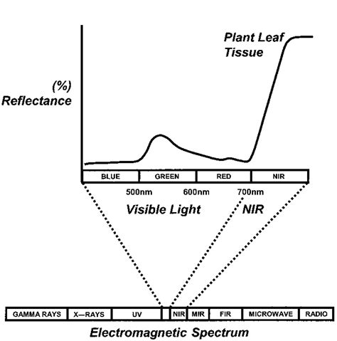 The Electromagnetic Spectrum And A Typical Spectral Reflectance Curve