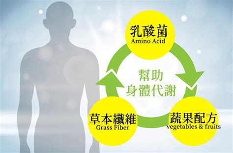 號稱「甩油神器」的dokkan植物酵素真的有效嗎？聽說可以幫助代謝，還有助於瘦身？ptt、dcard等網路評價分享與小編實測心得公開 妳的