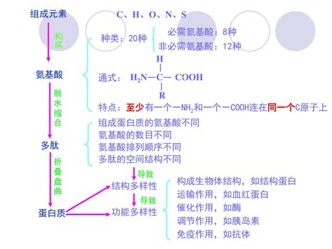 第二节 生命活动的主要承担者 ——蛋白质 Ppt Download