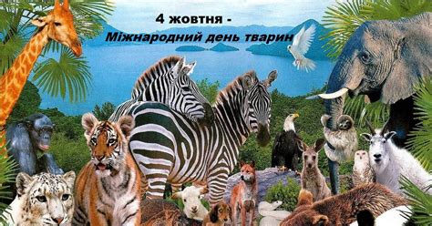 ПОЛІАННА 4 жовтня Всесвітній день тварин