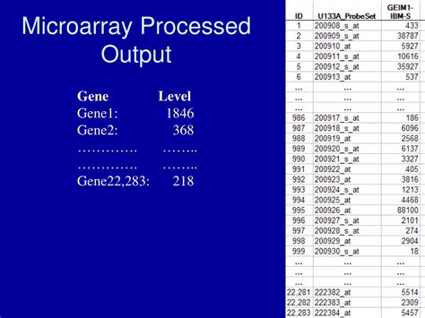 Ppt Microarrays Basic Principle Powerpoint Presentation Free Download Id 366984