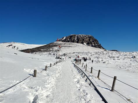 제주도 사계절짱공유 명예의 쩐당