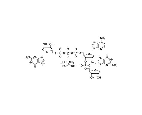 Cap Gag M7g 5 Ppp 5 2omea Pg 100mm Tris Solution 江苏申基生物科技有限公司