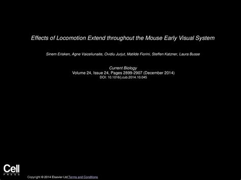 Effects Of Locomotion Extend Throughout The Mouse Early Visual System Ppt Download