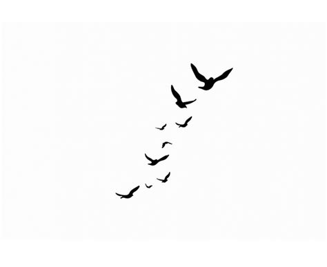Flock Of Birds Silhouette Red Bird Flock Silhouettes Of Flying Red