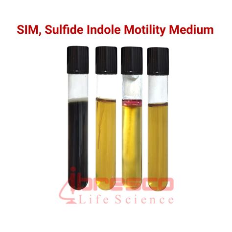 Sulfide Indole Motility Medium Sim Ibresco