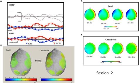 Session 2 Grand Average Oerp Waveforms Comparison And O2hb And Hhb