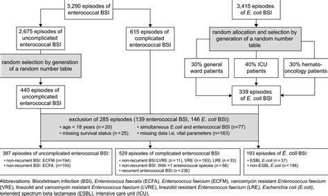 Are Enterococcal Bloodstream Infections An Independent Risk Factor For