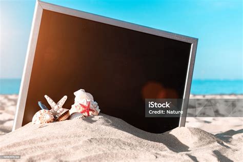 열대 배경 화창한 날에는 바다 해변의 검은 책상 근처에서 글로브 조개 비행기 및 불가사리 텍스트공간을 복사합니다 검은색에 대한 스톡 사진 및 기타 이미지 Istock