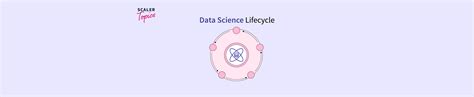 Data Science Lifecycle Scaler Topics