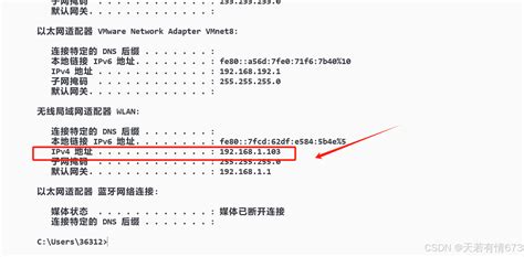 详细教程如何在vs Code里面给普通的html搭建局域网服务器给其他设备访问vscode Html服务器 Csdn博客