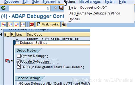 Sap Abap常用debug调试代码的八种方式sap Debug加代码 Csdn博客