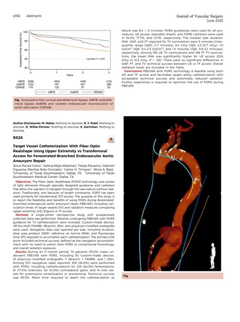 Pdf Target Vessel Catheterization With Fiber Optic Realshape Using
