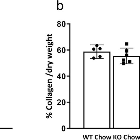 Collagen Content Measured As Hydroxyproline Relative To Tissue Dry Download Scientific Diagram