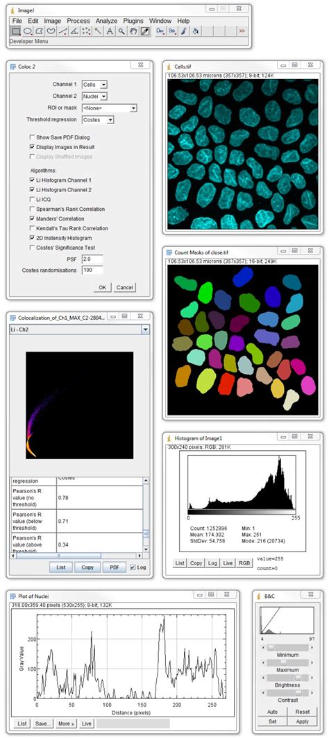 imagej fiji
