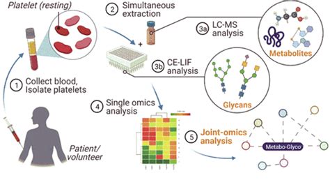 用于联合组学分析的同时极性代谢物和 N 聚糖提取工作流程：一种用于疾病新见解的协同方法journal Of Proteome Research X Mol